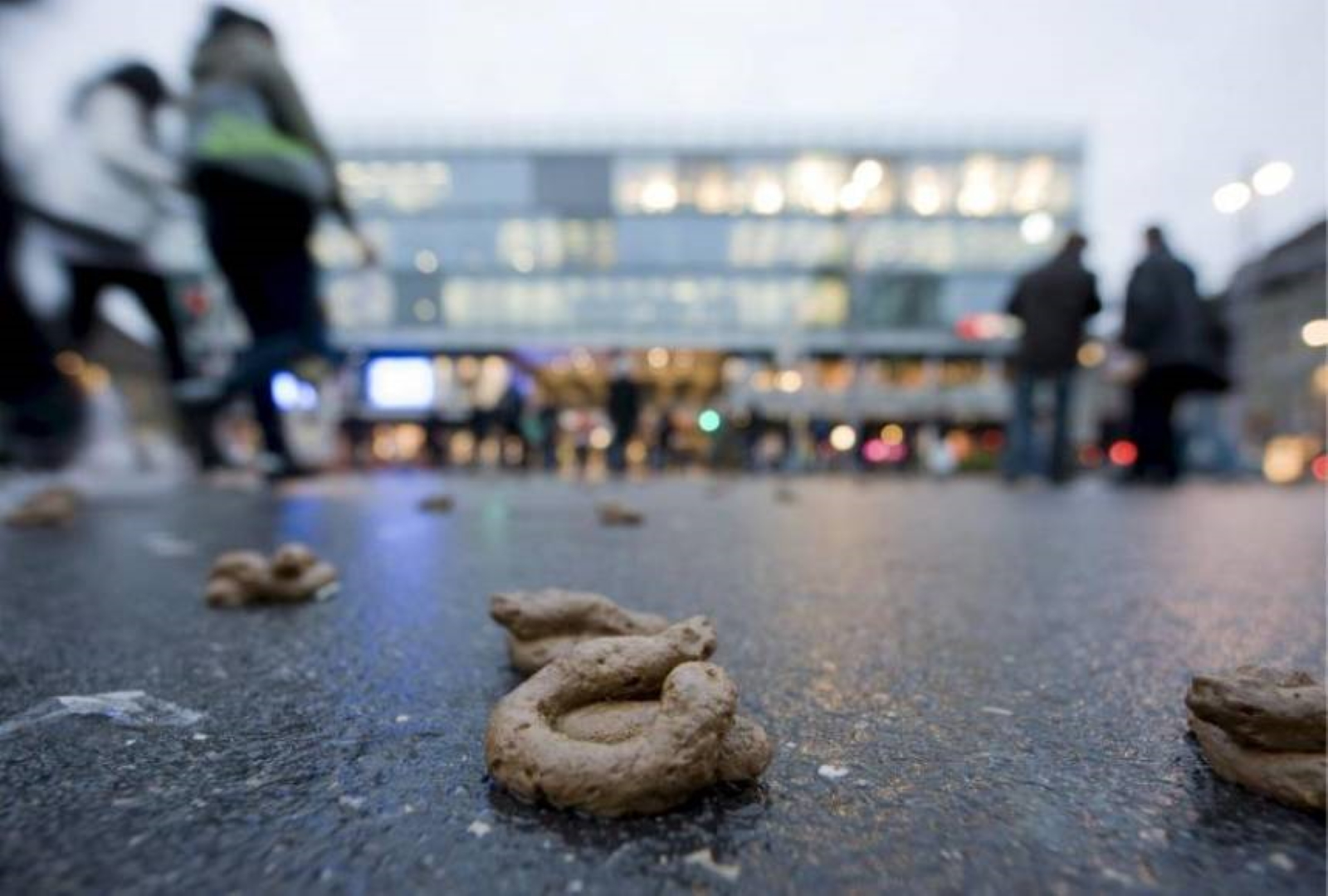 Las cacas nos dan mucha información sobre nuestra salud y deberíamos ...