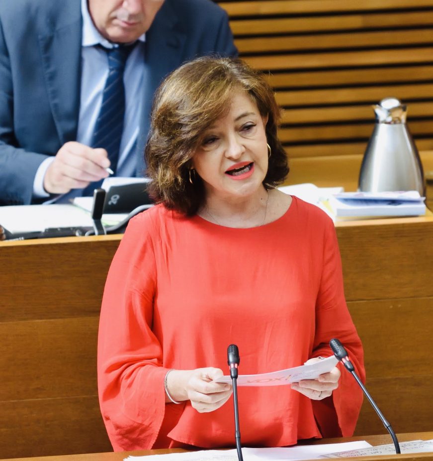 Declaración Institucional de VOX sobre la «Violencia Contra la Mujer ...