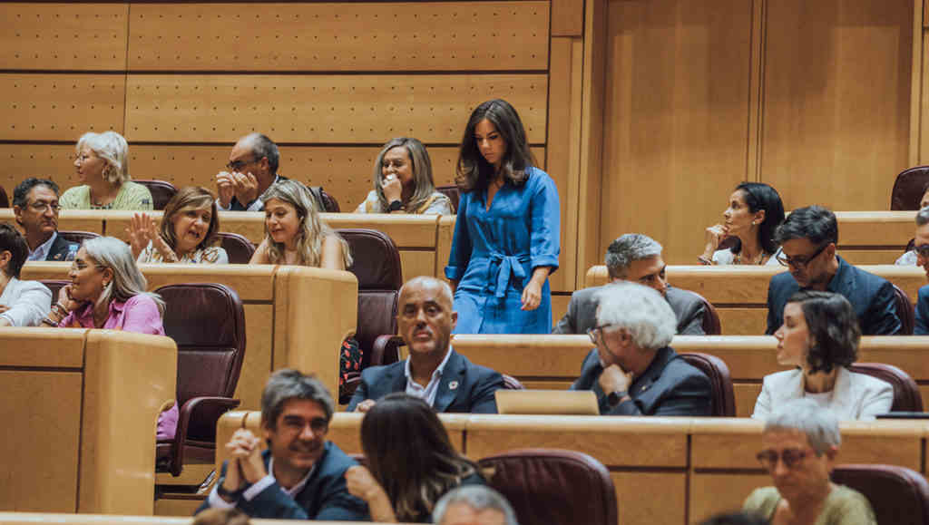 La senadora de Vox Pepa Millán Rodríguez reprocha a Sánchez que prohíba ...