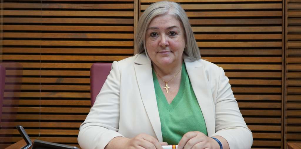 Elecciones 28M| La diputada de las Cortes Valencianas Ana María Cerdán ...